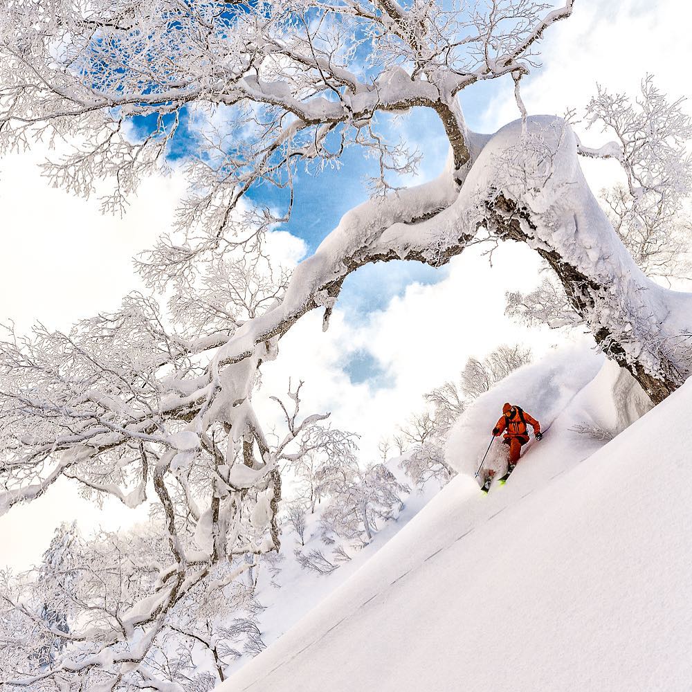 Snow Travel Expo: Find Your Next Ski / Snowboard Holiday