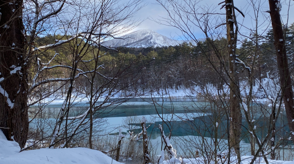 Sushi, Skiing, and Samurai: A Family Snow Holiday in Japan - Snow ...