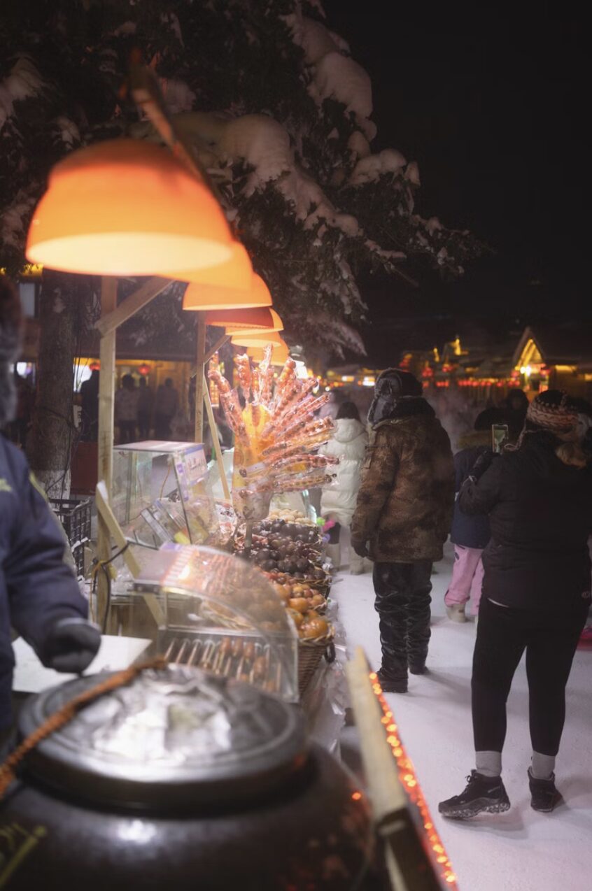 Discover China - Snow Travel Expo